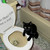 Drewlamarre1 - Hobbyist, Artist | DeviantArt