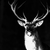 edelhert89 User Profile | DeviantArt