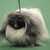 EricThePekingese - Hobbyist, Digital Artist | DeviantArt