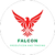 FalconCompany User Profile | DeviantArt