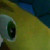 Fuleco-444 User Profile | DeviantArt