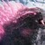 GlamrockGodzilla2021 User Profile | DeviantArt