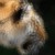 GodSeeker - Hobbyist, Photographer | DeviantArt
