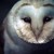 heecha - Hobbyist, Traditional Artist | DeviantArt