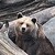helloiamexistant User Profile | DeviantArt
