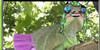 im-iguana-greg | DeviantArt