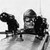 intrepid-birdman User Profile | DeviantArt