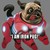 Iron-Pug User Profile | DeviantArt