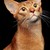 j-cm User Profile | DeviantArt