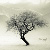 January-tree - Photographer | DeviantArt