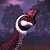Johnnydacitipati User Profile | DeviantArt