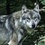 KalobBurnett2000 User Profile | DeviantArt