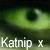 katnip User Profile | DeviantArt
