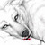 Kriuzu User Profile | DeviantArt