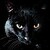 L71578H User Profile | DeviantArt