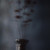 laedo - Photographer | DeviantArt