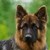 lanu2 User Profile | DeviantArt