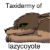 Lazycoyote User Profile | DeviantArt