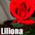 liliona - Hobbyist, Photographer | DeviantArt
