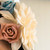 lisa-hordijk - Hobbyist, Photographer | DeviantArt