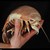 LizardEarthquakeGod - Hobbyist, General Artist | DeviantArt