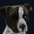 Load-of-bollocks - Hobbyist, General Artist | DeviantArt