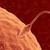 lubrican User Profile | DeviantArt
