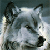 Lykos User Profile | DeviantArt