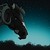 Medd--Lee - Student, Filmographer | DeviantArt