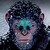MonkeyOfLife User Profile | DeviantArt
