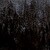 moonsapling - Photographer | DeviantArt