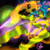 NimbusNebula - Hobbyist | DeviantArt