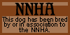 NNHA | DeviantArt