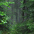 Norrskog - Hobbyist, Photographer | DeviantArt