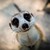 OASPhotography - Hobbyist, Photographer | DeviantArt