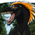 Pink-Raptor User Profile | DeviantArt