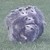 PossumOrb User Profile | DeviantArt