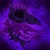 PrestoSuchus User Profile | DeviantArt