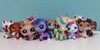 Rainbow-LPS | DeviantArt