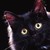 raspira User Profile | DeviantArt