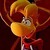 Rayman20012003 User Profile | DeviantArt