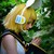 RinPie User Profile | DeviantArt
