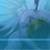 Ryuku-shinigami User Profile | DeviantArt