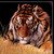 samacubel User Profile | DeviantArt