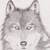 samkus - Traditional Artist | DeviantArt