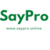 SayPro1 User Profile | DeviantArt