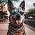 Schwerwolf - Hobbyist, Digital Artist | DeviantArt