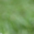 seckzkitten User Profile | DeviantArt
