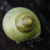 Sedalpha User Profile | DeviantArt