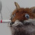 SevenSparrows User Profile | DeviantArt